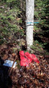 Timber Appraisals - Hooper Hill Forestry